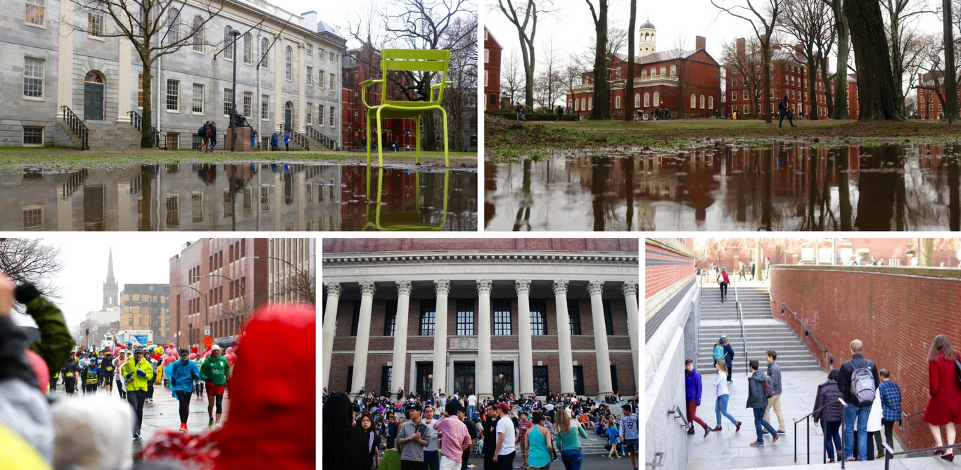 This Week In Photos: Apr. 16 - Apr. 20 | Multimedia | The Harvard Crimson