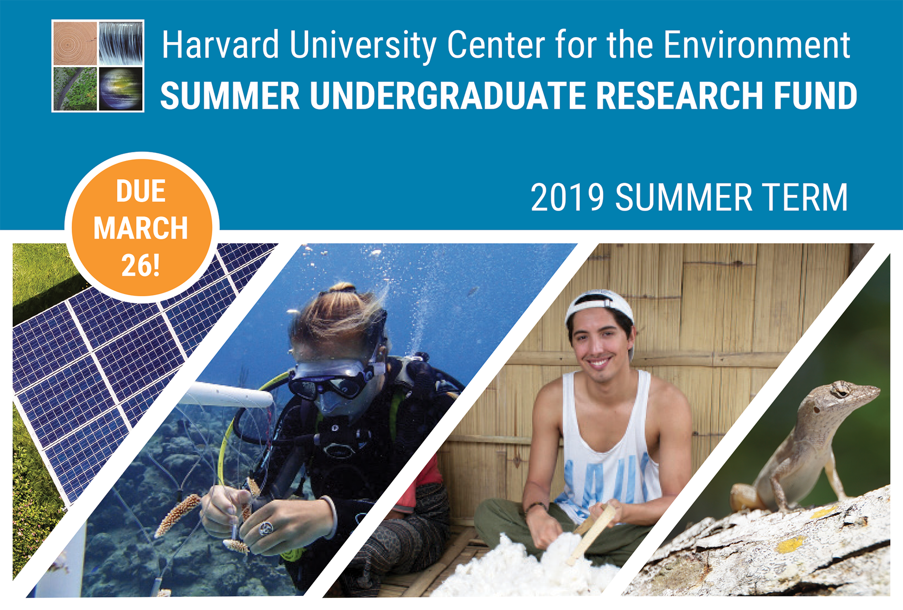 Summer Undergraduate Research Experiences in Energy and Environment ...