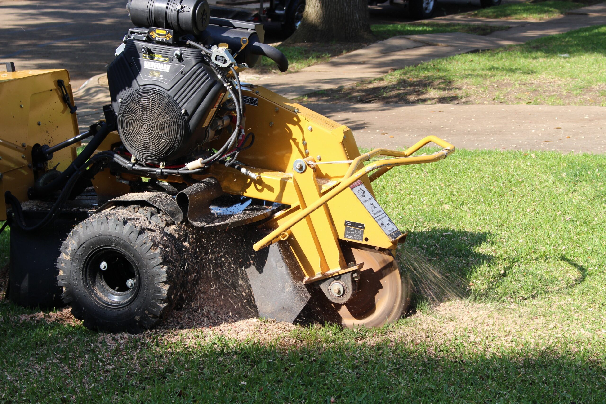Tree Stump Grinding | Stump Removal | Removing Tree Stumps