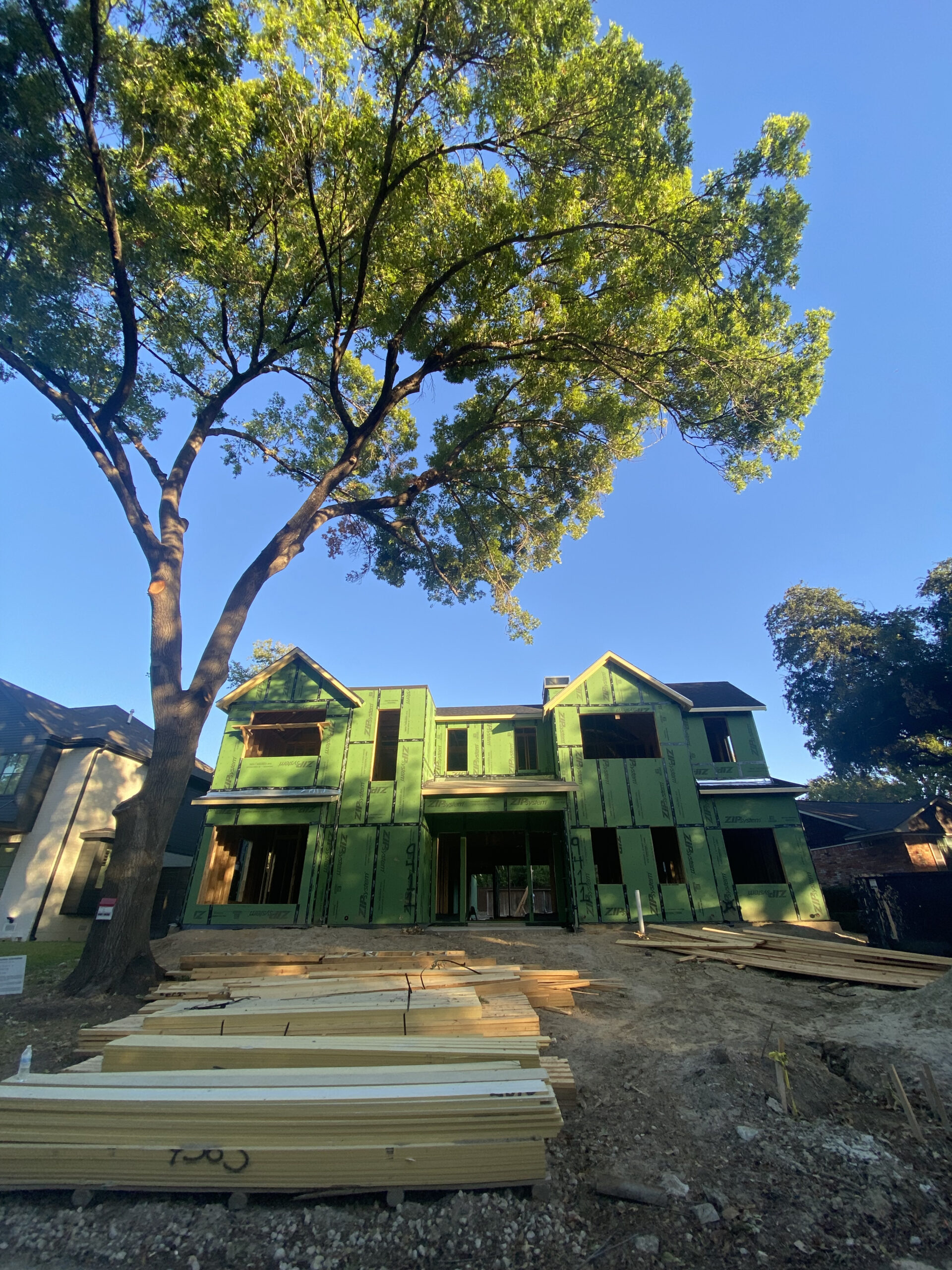 Leading Killer of Trees in Urban Environments: Construction - Tree Care ...