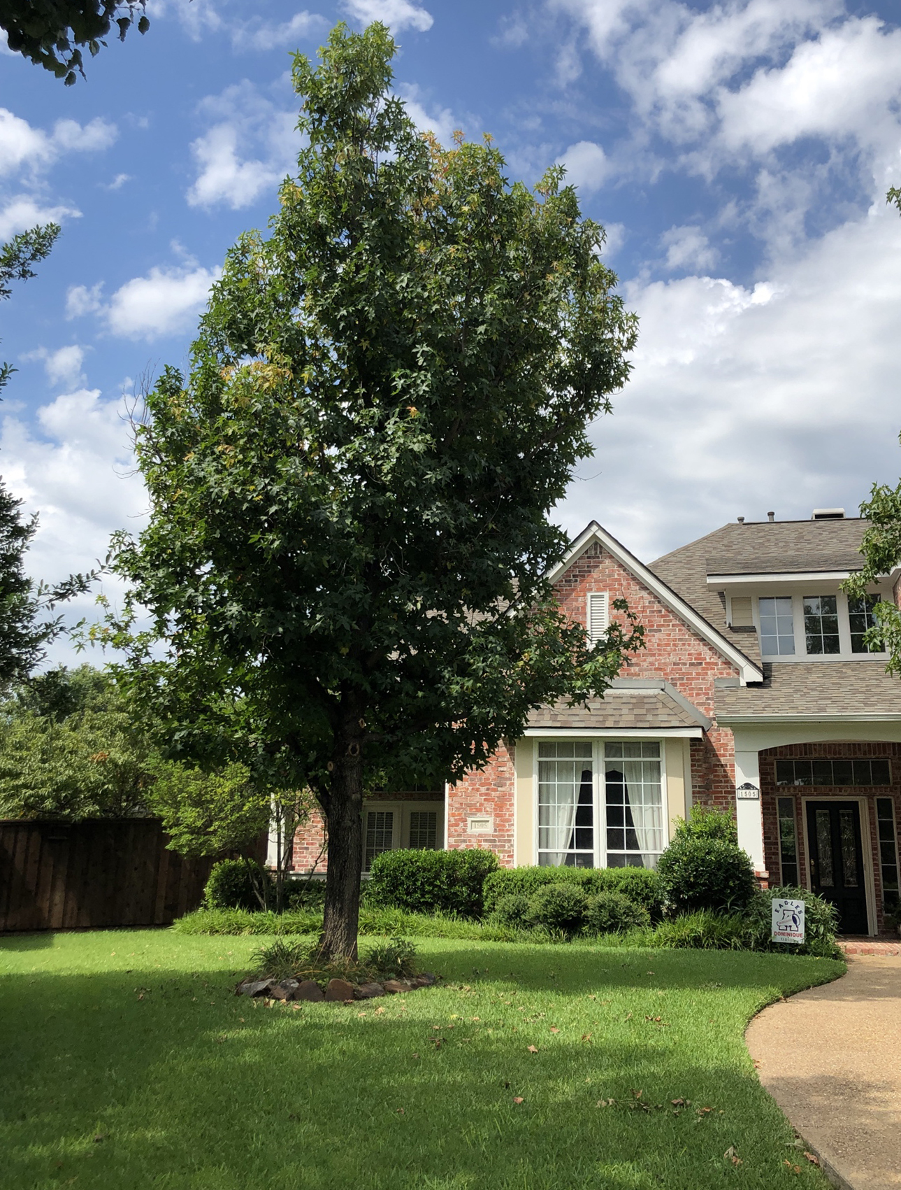 Weed & Feed is Bad for Trees - Tree Care Trimming Removal Service ...