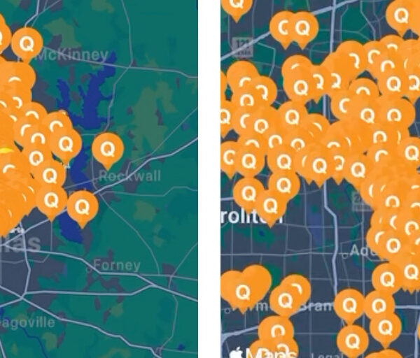 Tree Care Services, Tree Stump Removal | Texas Tree Surgeons