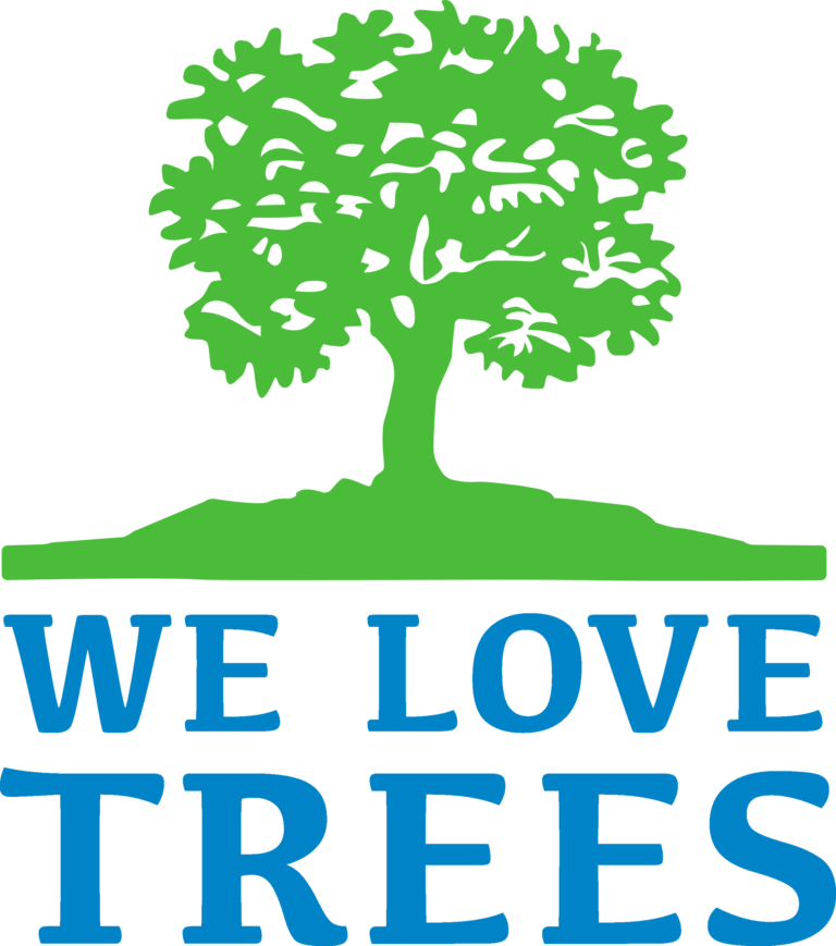 15 Facts About How Freezing Temperatures Can Affect Your Trees - Tree ...