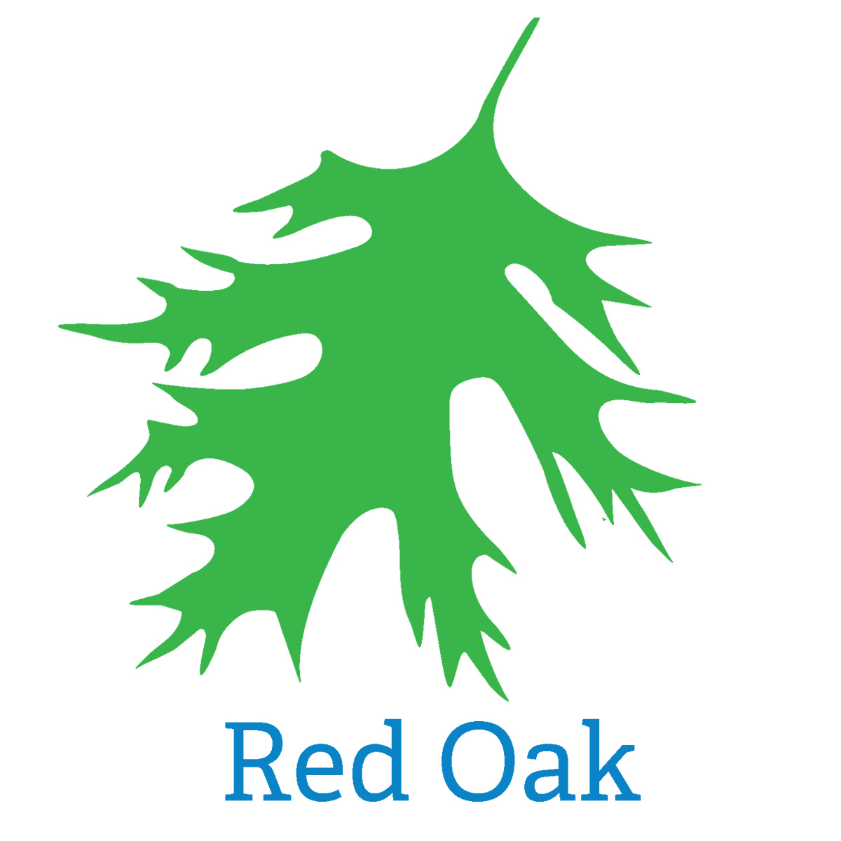 Know Your Oaks: Facts and Guides - Tree Care Trimming Removal Service ...