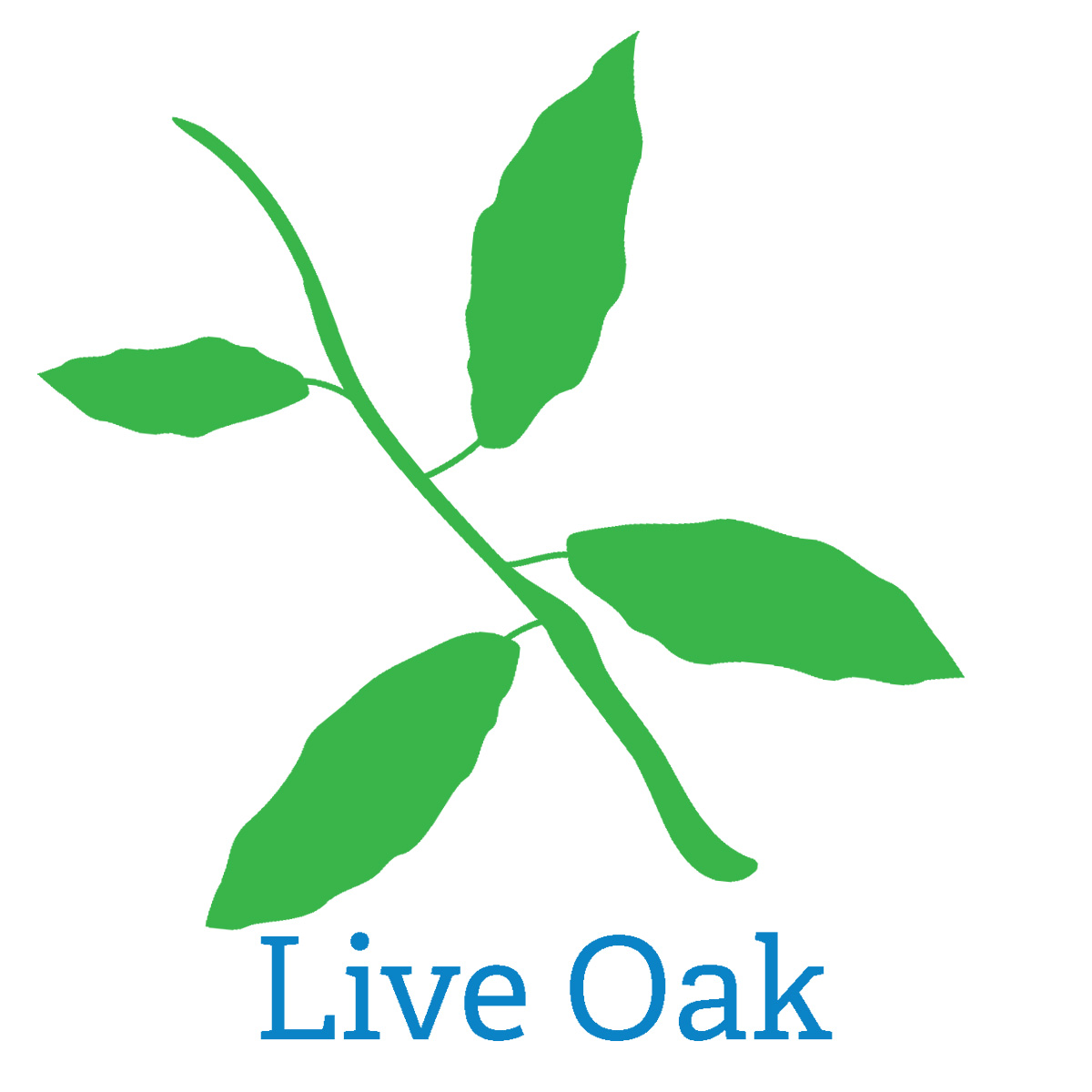 Know Your Oaks: Facts and Guides - Tree Care Trimming Removal Service ...