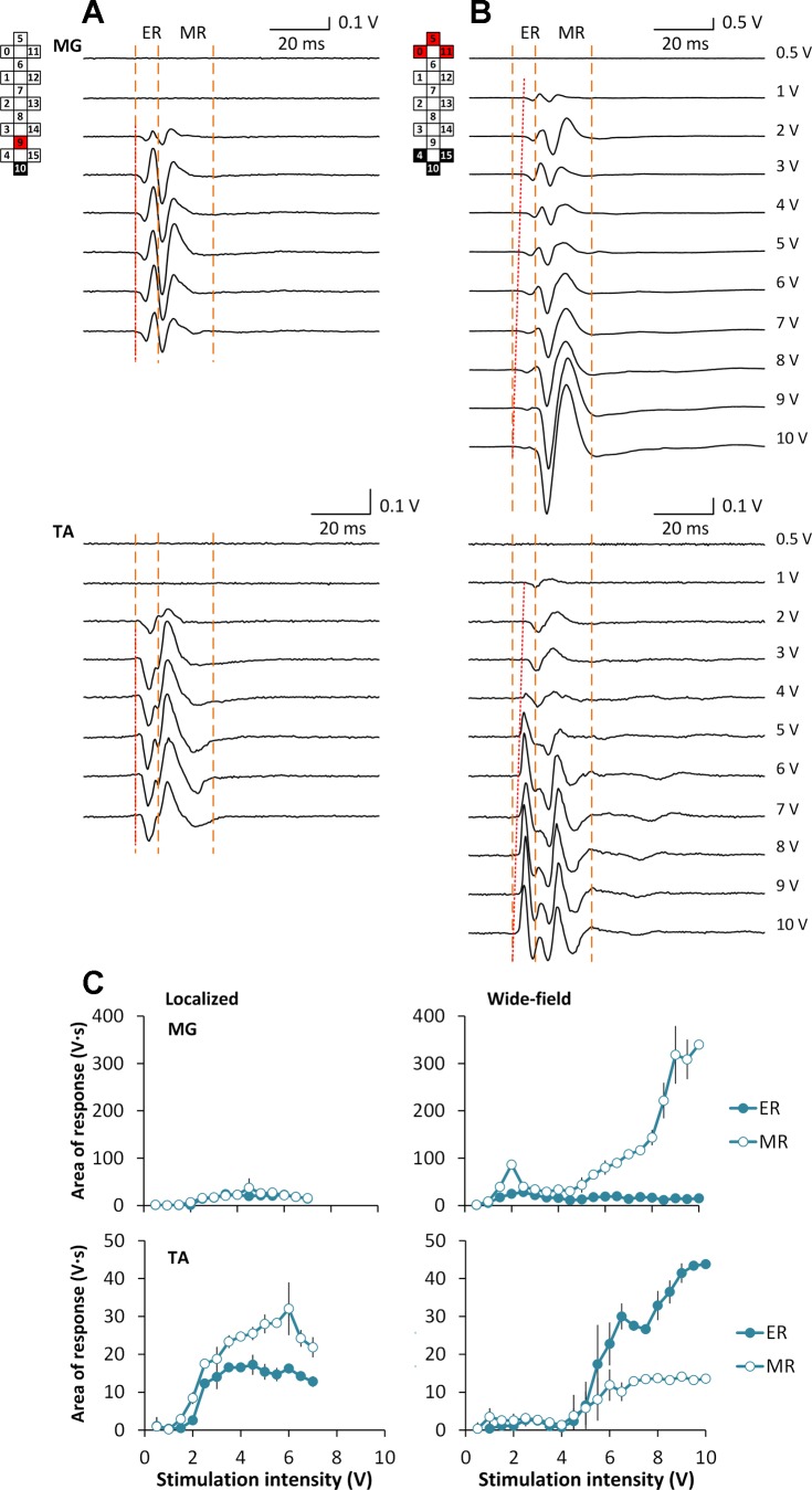 figure 5 – Victory Over Paralysis