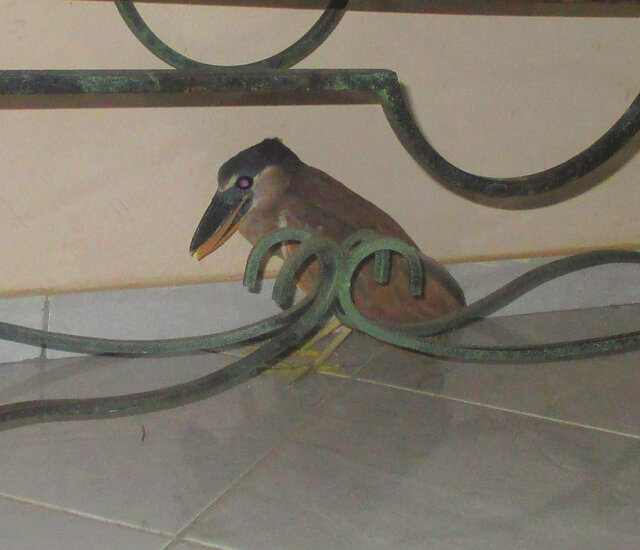 Foto arapapá (Cochlearius cochlearius) Por João V. Carvalho | Wiki Aves ...