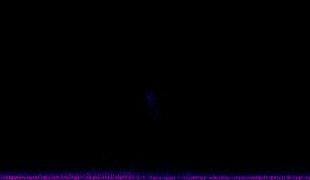 Som suiriri (Tyrannus melancholicus) Por Abraão Arthur | Wiki Aves - A ...