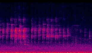 Som arapapá (Cochlearius cochlearius) Por Gustavo Dallaqua | Wiki Aves ...