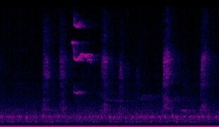 Som Por Victor Hugo Rebecchi | Wiki Aves - A Enciclopédia das Aves do ...