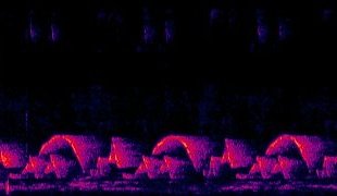 Som garrinchão-pai-avô (Pheugopedius genibarbis) Por Ives Vergara ...