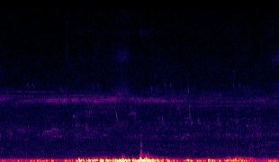 Som perdiz (Rhynchotus rufescens) Por Gustavo Dallaqua | Wiki Aves - A ...