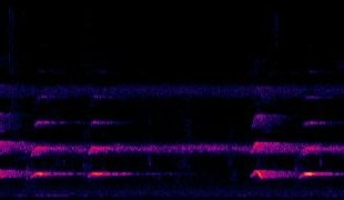 Som tucano-de-papo-branco (Ramphastos tucanus) Por Ives Vergara | Wiki ...
