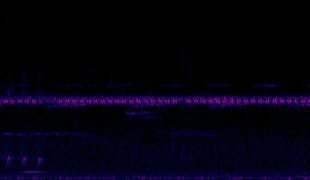 Som pica-pau-da-taboca (Celeus obrieni) Por Leandro Henrique | Wiki ...