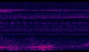 Som inhambu-galinha (Tinamus guttatus) Por Henrique Langenegger | Wiki ...