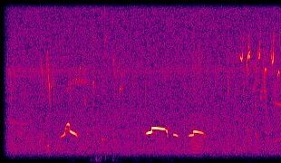 Som perdiz (Rhynchotus rufescens) Por Fernando Paludo | Wiki Aves - A ...