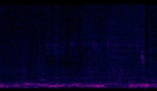 Som choró-boi (Taraba major) Por Jerffson Gomes | Wiki Aves - A ...