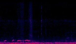 Som pomba-botafogo (Patagioenas subvinacea) Por Ives Vergara | Wiki ...