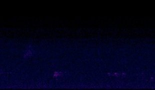 Som flautim (Schiffornis virescens) Por Roberto de Oliveira Silva ...