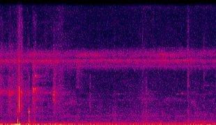 Som xexéu (Cacicus cela) Por Ademir Costa | Wiki Aves - A Enciclopédia ...