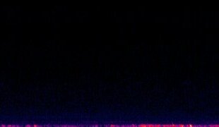 Som perdiz (Rhynchotus rufescens) Por Artur Luiz | Wiki Aves - A ...