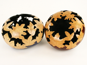 Best Fall Gourd Art Project