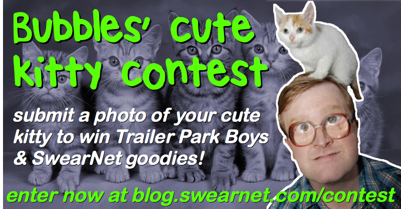 Bubbles' Cute Kitty photo contest
