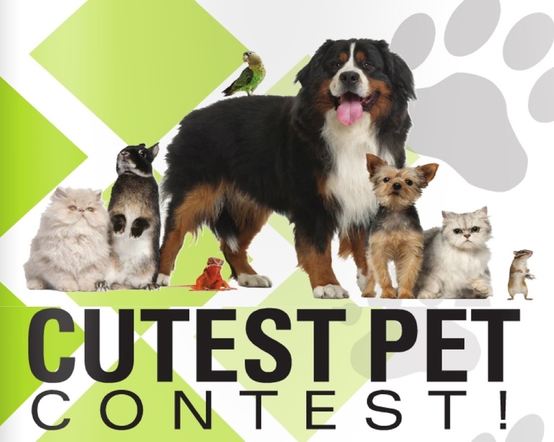 85085 Cutest Pet Contest
