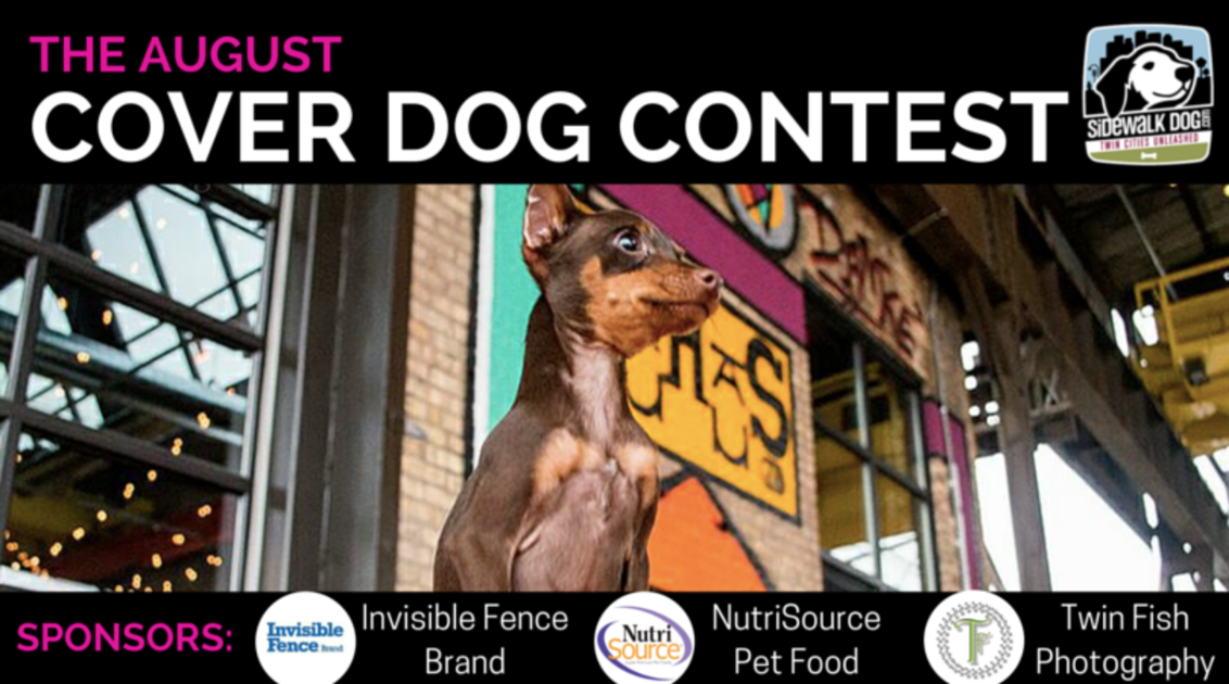 August Cover Dog Contest: Calling ALL Dogs!