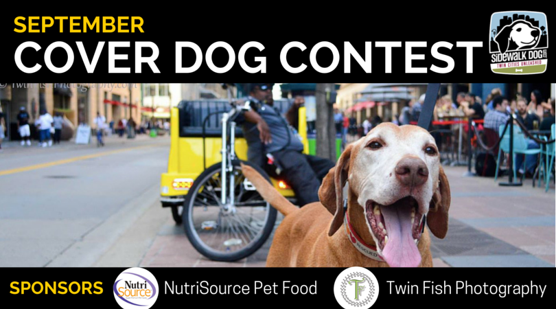 September Cover Dog Contest: Calling ALL Dogs!