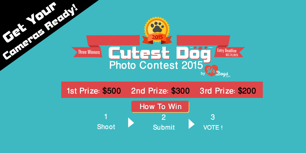 Cutest Dog Photo Contest 2015