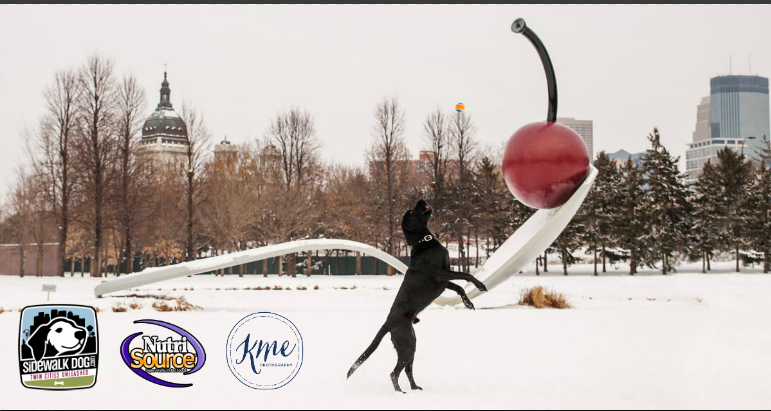 Calling All Minnesota Dogs!