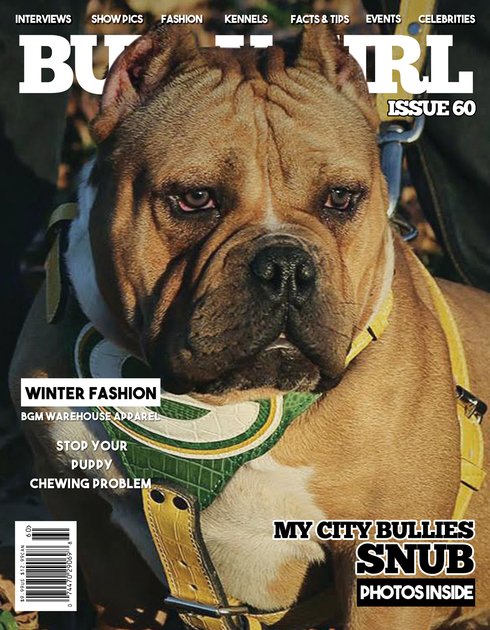 Bully Girl® Magazine - FREE Digital Subscription Giveaway