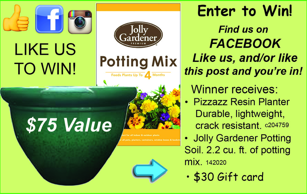 Enter to win resin planter, potting soil and durable and potting soil