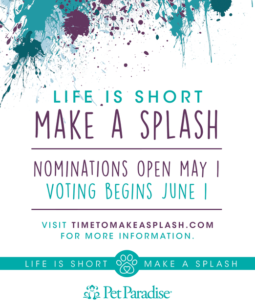 Life is Short, Make a Splash