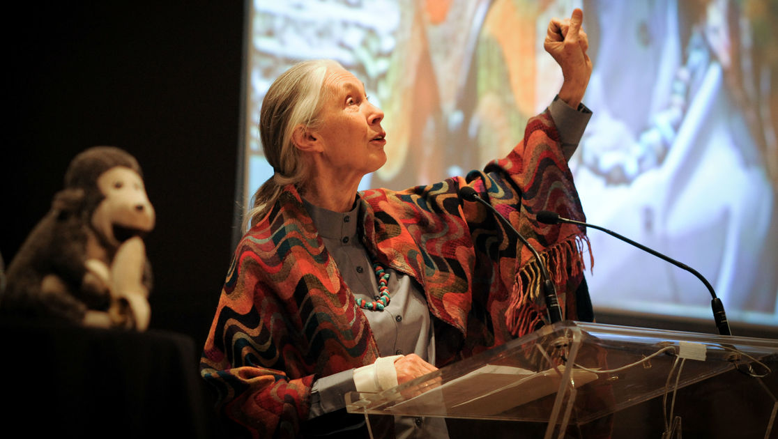 Bring Dr. Goodall to your Hometown!