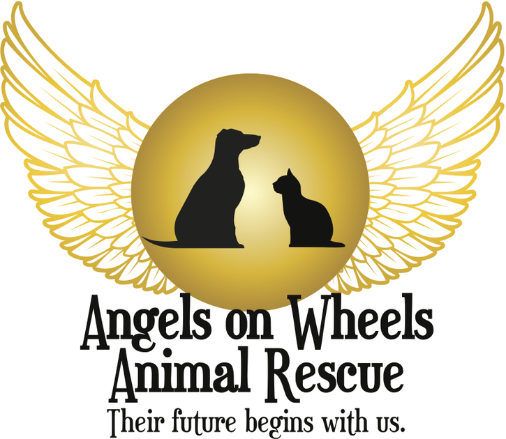 Angels on Wheels Annual Photo Contest