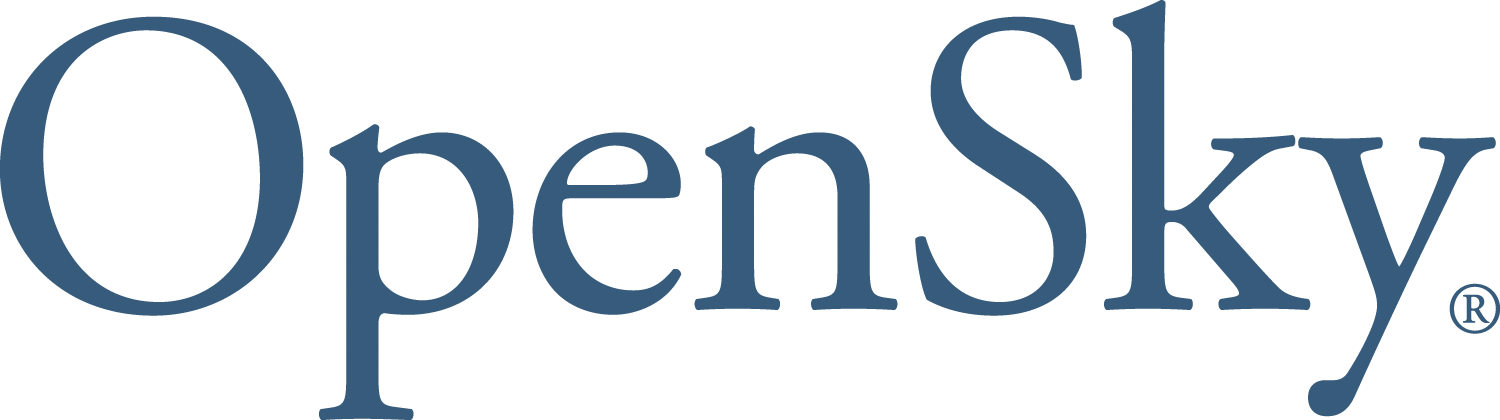 Become the Face of the OpenSky Video Ad