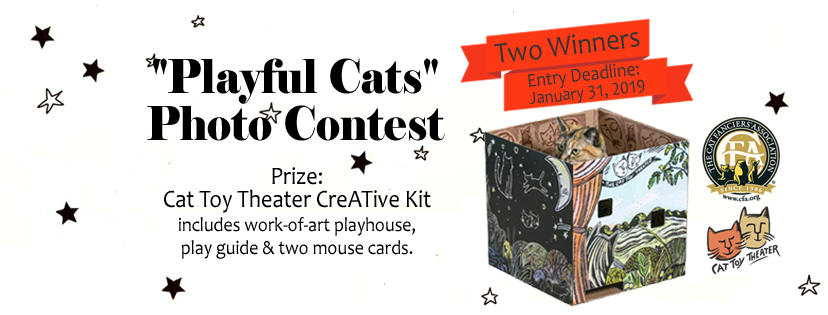 ENTER AND WIN! Playful Cat Photo Contest!