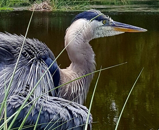 Charleston Magazine's 6th Annual Photo Contest