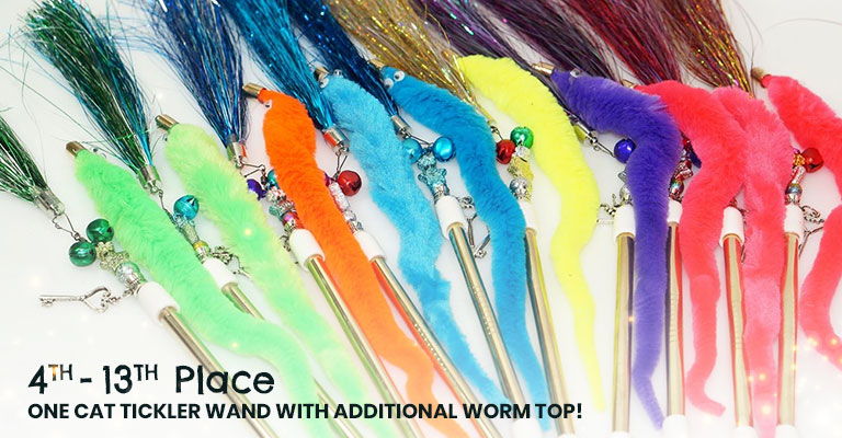 CFA - Special Magical Moment | Cat Fanciers' Association