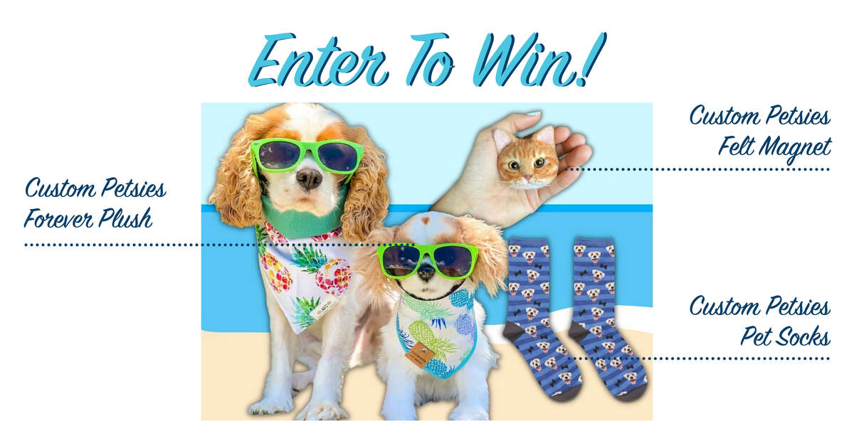 Win a Custom Stuffed Animal of Your Pet & Other Prizes