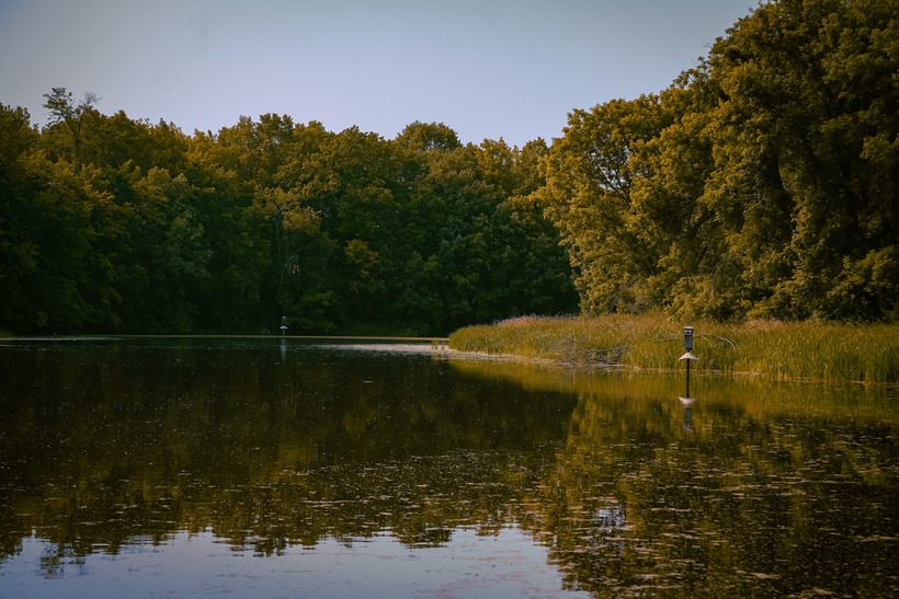 City of Maple Grove Photo Contest 2023 - Going Natural