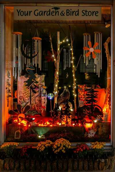 Halloween Window Contest- Dark Forest