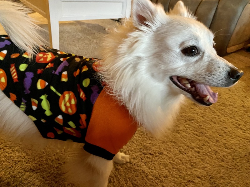 Trick or Treat Them Well Costume Photo Contest