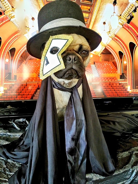 Trick or Treat Them Well Costume Photo Contest