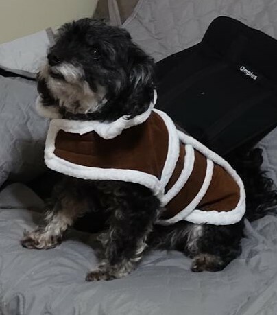 Trick or Treat Them Well Costume Photo Contest