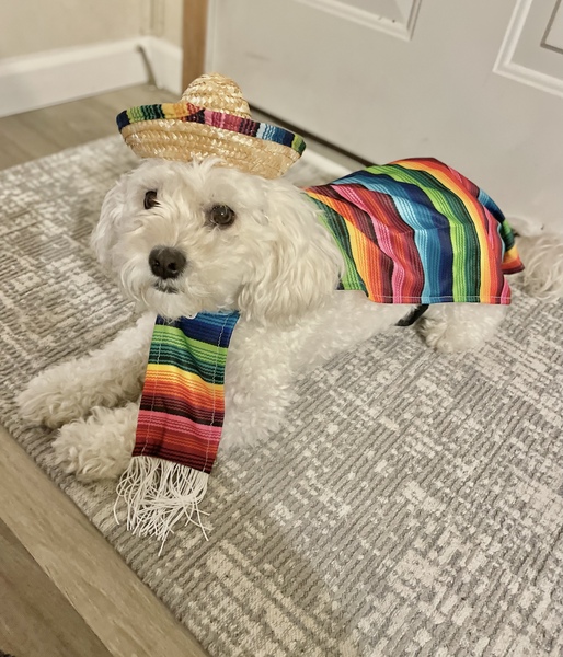 Trick or Treat Them Well Costume Photo Contest