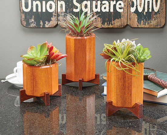 Succulent Plant Stands | Woodworking Project | Woodsmith Plans