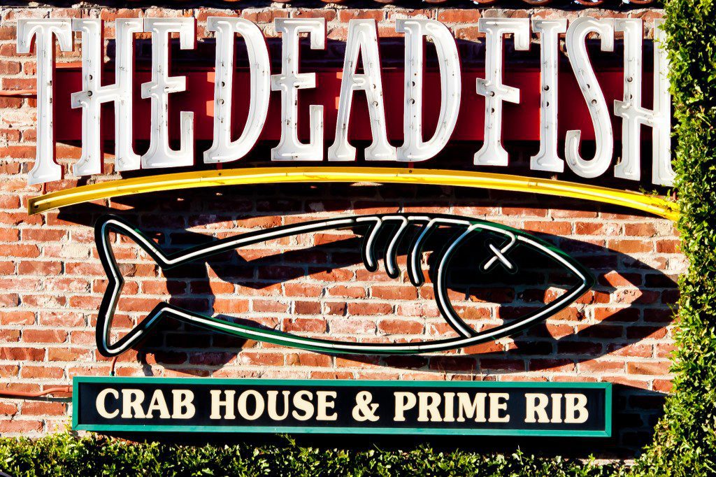 Review for Dead Fish Restaurant - YR Media
